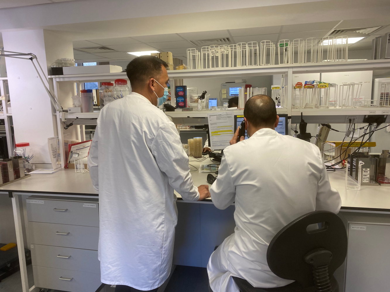 Narrative Reporting in Microbiology